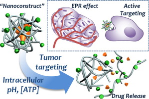 Andrographolide-loaded polymerized phenylboronic acid nanoconstruct for ...