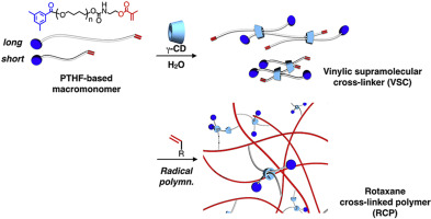 Synthesis of rotaxane cross-linked polymers with supramolecular cross ...