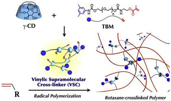 Synthesis and properties of rotaxane-cross-linked polymers using a ...