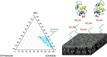 Highly porous polytriazole ion exchange membranes cast from solutions ...