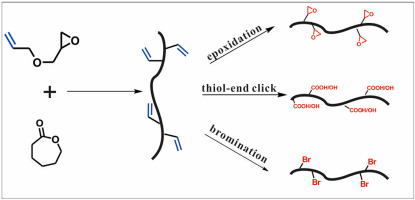 Synthesis and post-functionalization of a degradable aliphatic ...