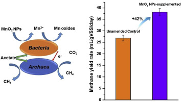 Distinct and diverse anaerobic respiration of methanogenic community in ...