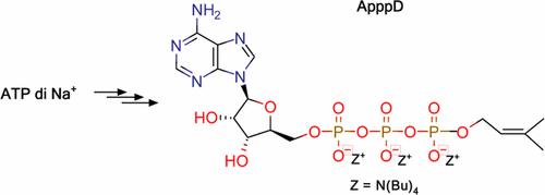具有生物重要性的三磷酸腺苷类似物ApppD的合成,ACS Omega - X-MOL