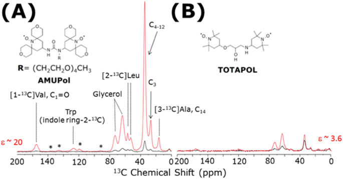 Transmembrane Interactions of Full-length Mammalian Bitopic Cytochrome ...