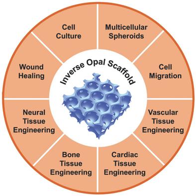 Inverse Opal Scaffolds and Their Biomedical Applications,Advanced ...