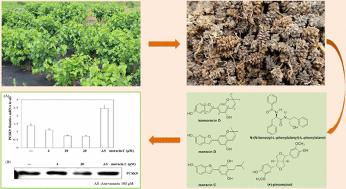 Chemical Constituents with Proprotein Convertase Subtilisin/Kexin Type ...