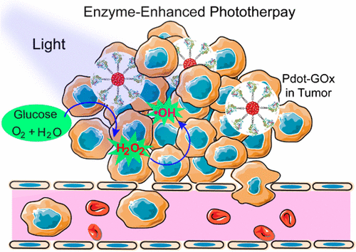 Enhanced Phototherapy by Nanoparticle-Enzyme via Generation and ...