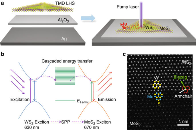Cascaded exciton energy transfer in a monolayer semiconductor lateral ...