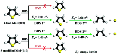Insight into thiophene hydrodesulfurization on clean and S-modified MoP ...