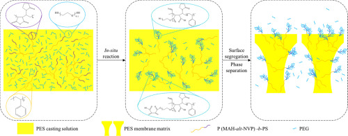 Achieving persistent high-flux membranes via kinetic and thermodynamic ...