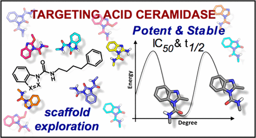 Pharmacophore Identification and Scaffold Exploration to Discover Novel ...