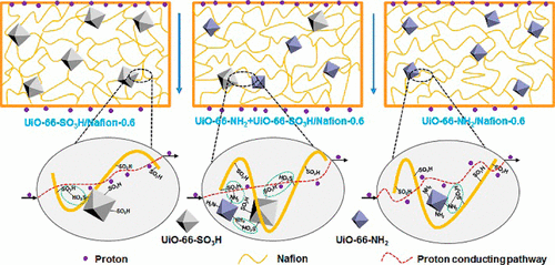 Proton Conductivity of Proton Exchange Membrane Synergistically ...