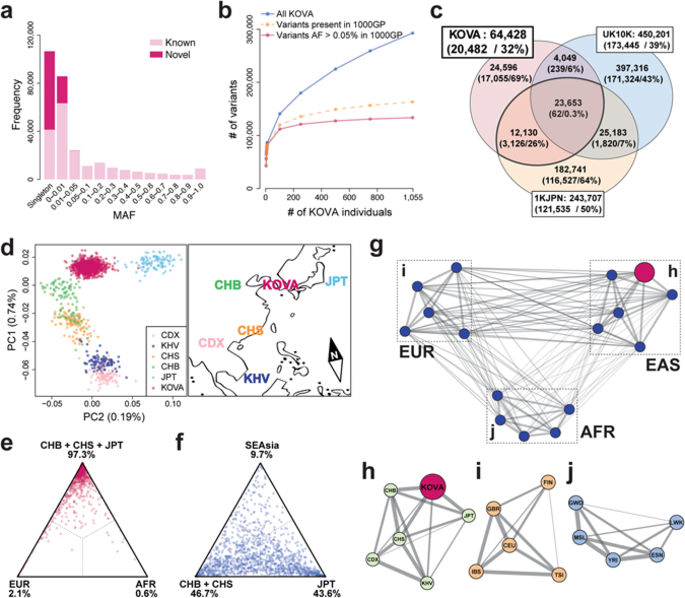 Korean Variant Archive (KOVA): a reference database of genetic ...