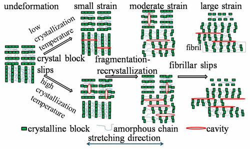 Crystallization Temperature Dependence of Cavitation and Plastic Flow ...