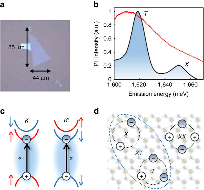 单层MoSe2中的中性和带电谷间双激子。,Nature Communications - X-MOL
