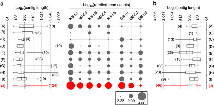 Virus-host relationships of marine single-celled eukaryotes resolved ...