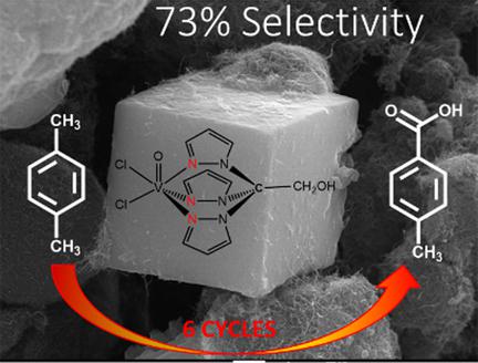 Supported C-Scorpionate Vanadium(IV) Complexes as Reusable Catalysts ...