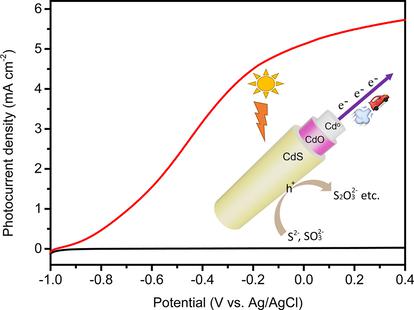 具有高电导率和分离效率的自体Cd / CdO / CdS异质结光阳极提高了光电化学活性,Chemistry - A European ...