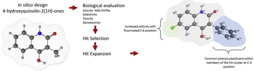Design, synthesis and antitubercular potency of 4-hydroxyquinolin-2(1H ...