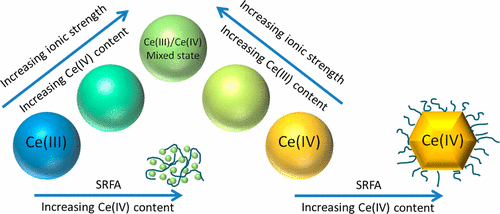 A High Resolution Study of Dynamic Changes of Ce2O3 and CeO2 ...
