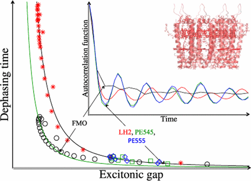 Relation between Vibrational Dephasing Time and Energy Gap Fluctuations ...
