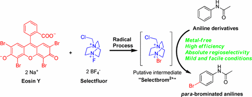 Combining Eosin Y with Selectfluor: A Regioselective Brominating System ...