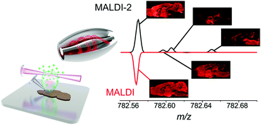 Laser post-ionisation combined with a high resolving power orbitrap ...
