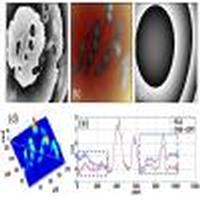 Automatic phase aberration compensation for digital holographic ...