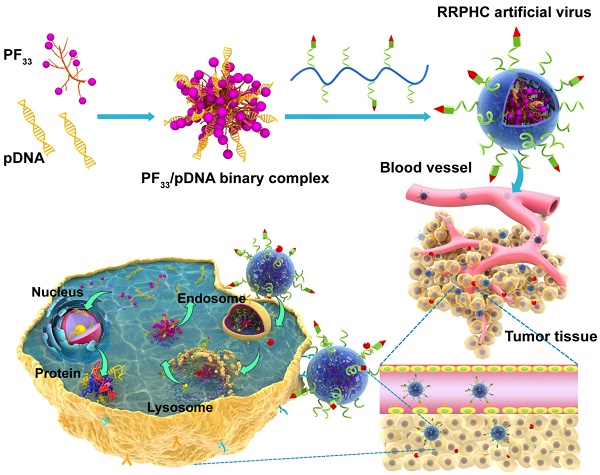 Lung Cancer-Targeting Peptides with Multi-subtype Indication for ...