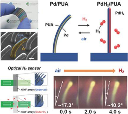 Bioinspired Geometry‐Switchable Janus Nanofibers for Eye‐Readable H2 ...