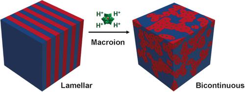 Inorganic-Macroion-Induced Formation of Bicontinuous Block Copolymer ...