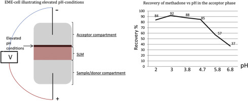 Comprehensive study of buffer systems and local pH effects in ...