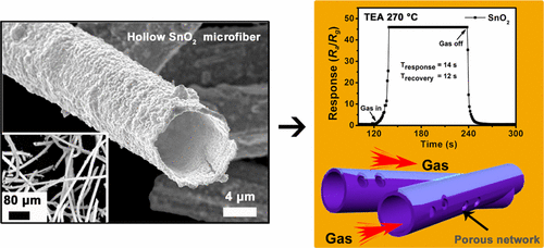 Highly Efficient Gas Sensor Using a Hollow SnO2 Microfiber for ...