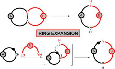 Ring-Expansion Reactions in the Synthesis of Macrocycles and Medium ...