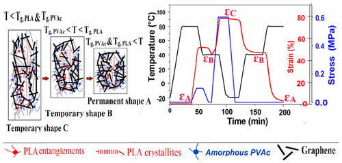 Thermally and Electrically Triggered Triple-Shape Memory Behavior of Poly(vinyl acetate)/Poly ...