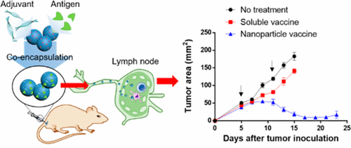 Silica Nanoparticle as a Lymph Node Targeting Platform for Vaccine ...