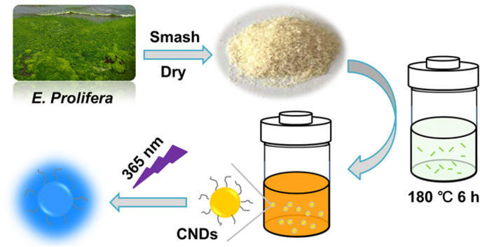 Enhanced-quantum yield sulfur/nitrogen co-doped fluorescent carbon ...