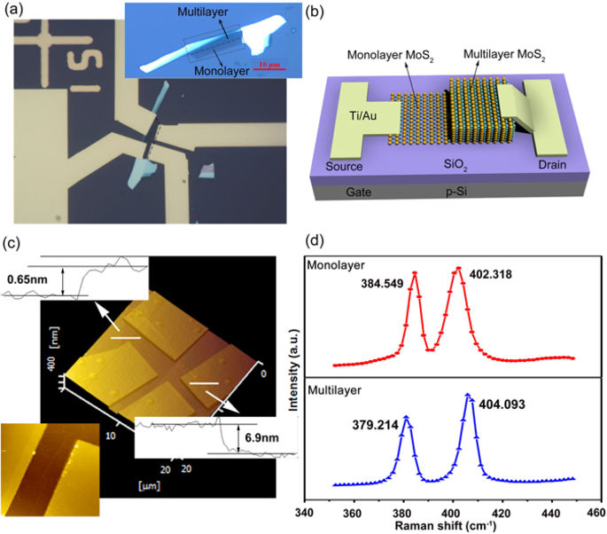 横向多层/单层MoS2异质结，用于高性能光电探测器应用。,Scientific Reports - X-MOL