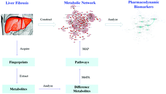 Metabolomics combined with pattern recognition and bioinformatics ...