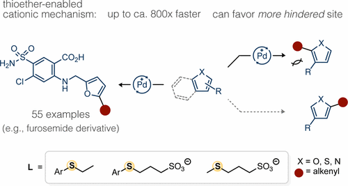 C–H Alkenylation of Heteroarenes: Mechanism, Rate, and Selectivity Changes Enabled by Thioether ...
