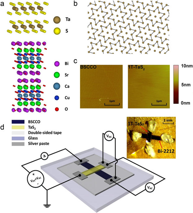 Bi-2212/1T-TaS2 Van der Waals junctions: Interplay of proximity induced ...