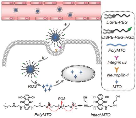 ROS‐Responsive Polyprodrug Nanoparticles for Triggered Drug Delivery ...