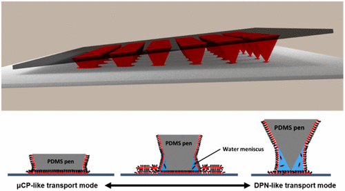 Polymer Pen Lithography with Lipids for Large-Area Gradient Patterns ...