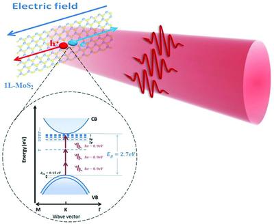 Giant Three‐Photon Absorption in Monolayer MoS2 and Its Application in ...
