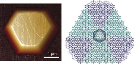 Oriented Two-Dimensional Porous Organic Cage Crystals,Angewandte Chemie ...