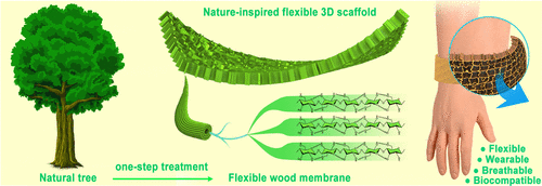 Superflexible Wood,ACS Applied Materials & Interfaces - X-MOL