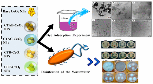 Chemical and Pathogenic Cleanup of Wastewater Using Surface ...