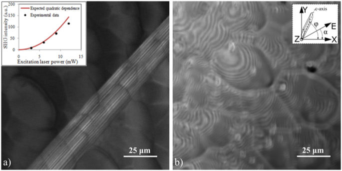 Identification of stacking faults in silicon carbide by polarization ...