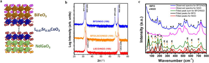 Long-range Stripe Nanodomains in Epitaxial (110) BiFeO3 Thin Films on ...