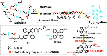Fluorometric probing of the lipase level as acute pancreatitis ...
